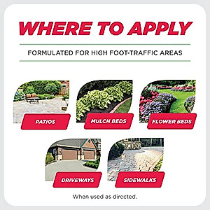 Earth's Ally Weed and Grass Killer | Safe, Pet-Friendly Natural Weed Control Spray for Patios, Driveways & Sidewalks, Ready-to-Use 24oz - Bee Safe, No Glyphosate Weed Killer