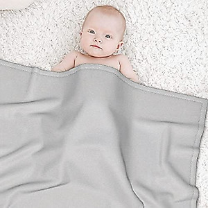 Pindola Grey Fleece Throw Blankets for Couch，Lightly Plush Cozy Textured Flannel Blanket for Sofa, Sofa, Bed, Light Gray，Valentine's Day Easter Gifts 40"x30" for Pets