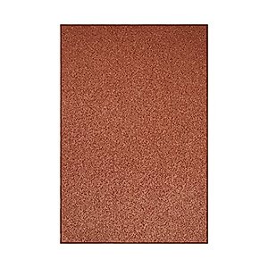 Furnish my Place Modern Plush Solid Color Rug - Rust, 3' x 5', Pet and Kids Friendly Rug. Made in USA, Rectangle, Area Rugs Great for Kids, Pets, Event, Wedding