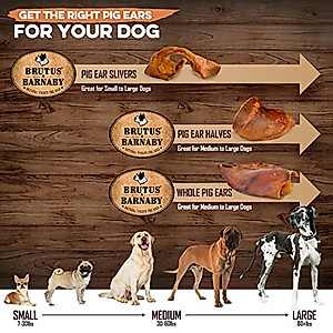 100% Natural Whole Pig Ear Dog Treat - 12 Pack - Our Healthy Dog Pig Ears Are Easy To Digest, Chemical & Hormone Free Thick Cut Pig Ears For Dogs Aggressive Chewers, Great For Small Or Large Dogs