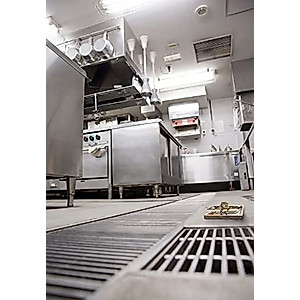 Pestguard Classic TM2 Wooden Mouse Traps – (Pack of 4) Effective, Reusable, and Humane Solution for Mouse Control. Eco-Friendly and Cost-Effective. Includes Bait Trigger Mechanism