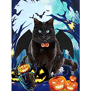 Halloween Dog Bat Wings Costume, Pet Halloween Cosplay Party Dress Up Costume for Small Dogs and Cats(S) Black