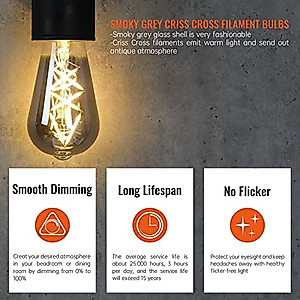 Dimmable LED Edison Light Bulbs, Smoky Grey Vintage Lightbulbs 60 Watt Equivalent 2700K Soft Warm White, ST64 600LM Vanity Light Bulbs With E26 Base for Bathroom, Bedroom, Living Room and Kitchen