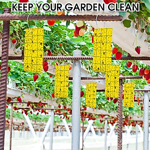 200 Pcs Dual Side Sticky Fruit Fly Trap with Tie, Yellow Sticky Traps for Gnats, 3 * 5 Inch Plant Sticky Trap for Flying Insect Fungus Bugs Sticky Catcher Trap, Sticky Trap for Indoor Outdoor