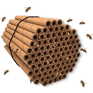 Mason Bee Tubes | 100 Pack of 6 inch Long by 5/16 Inner Diameter Hole Cardboard Bee House Tubes | Great Paper Refills or Inserts/Liners for a Bee House, Bee Condo, Hotel, or Nest