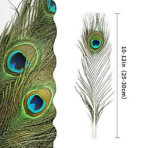 iHUFeather 10PCS Real Natural Peacock Eye Feathers 10-12 inch for DIY Craft Floral Arrangements,Wedding,Home and Party Decorations Feathers,Natural