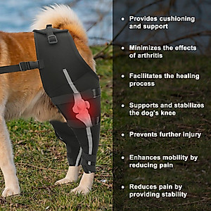 WACOI Dog Knee Brace for Torn ACL Hind Leg, Dog Leg Braces for Back Leg, Adjustable Leg Support for Large and Small Dogs with ACL, CCL, Cruciate Ligament Injuries S-Regular Model