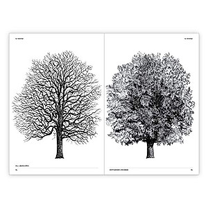 The Architecture of Trees