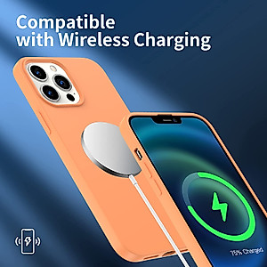 Amytor Designed for iPhone 13 Pro Max Case, Silicone Ultra Slim Shockproof Phone Case with Soft Anti-Scratch Microfiber Lining, [Enhanced Camera Protection] 6.7 inch (Coral)