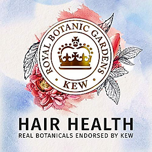 Herbal Essences Bio, Refresh Blue Ginger & Micellar Water Shampoo, 13.5 Ounce