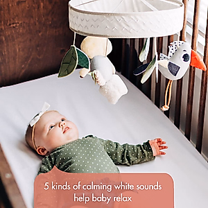 Tiny Love Boho Chic Luxe Musical Mobile, Auto-Timer, LED Light, Variety of Music, Shushing, and White Sounds