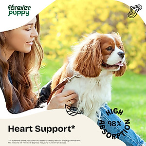 Cardio Drops for Dogs - Heart Support for Dogs with Hawthorn Berry and Motherwort Herb - Pet Liquid Drops with Lavender Extract - Herbal Dog Vitamins and Supplements for Dog's Health Care - 4 oz