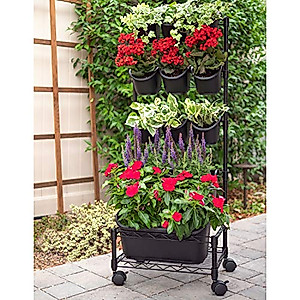 Watex Mobile Green Wall (Single Frame, Black), BPA Free Planters