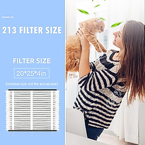 2 Pack 213 Replacement Filter for Aprilaire Whole House Air Purifiers, MERV 13 Air Purifier Filter Compatible with Models 1210, 1620, 2120, 2200, 2210, 2216, 3210, 4200, 20x25x4 Air Filter