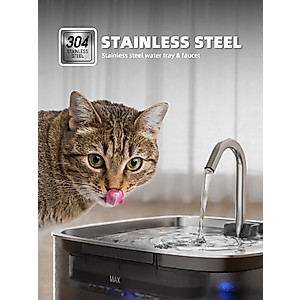 Cat Water Fountain: 75oz/2.2L Automatic Pet Water Dispenser for Cats, 304 Stainless Steel Faucet & Lid Cat Water Bowl Dispenser, Super Silent Pet Water Fountain for Cats Inside, Pump with LED Light