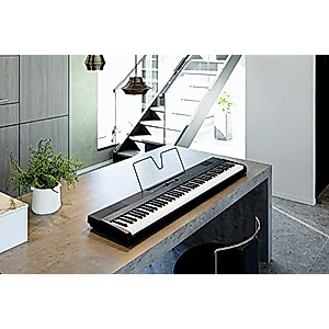 Korg 88 Portable Digital Piano with Semi-Weighted Keys and Built-in Speakers, with Sustain Pedal, Music Stand, and Power Supply (LIANO),Black