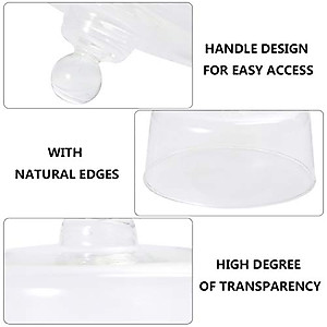 Cabilock Glass Cake Dome Cake Cover Tall Cheese Desert Cloche Dessert Display Cloche Bell Jar Display Dome Snack Fruit Server Salad Dome Transparent (5.9x5.7 inch)