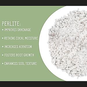 Horticultural Perlite Soil Additive (12 Quarts); for Enhanced Potting Mix Drainage and Growth