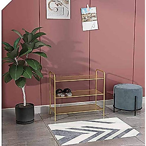 TAZSJG 2/3 Tiers Shoe Rack, Small Shoe Rack Organizer, Space Saving Shoe Shelf, Iron Shoe Rack (Color : A, Size : 2layers)