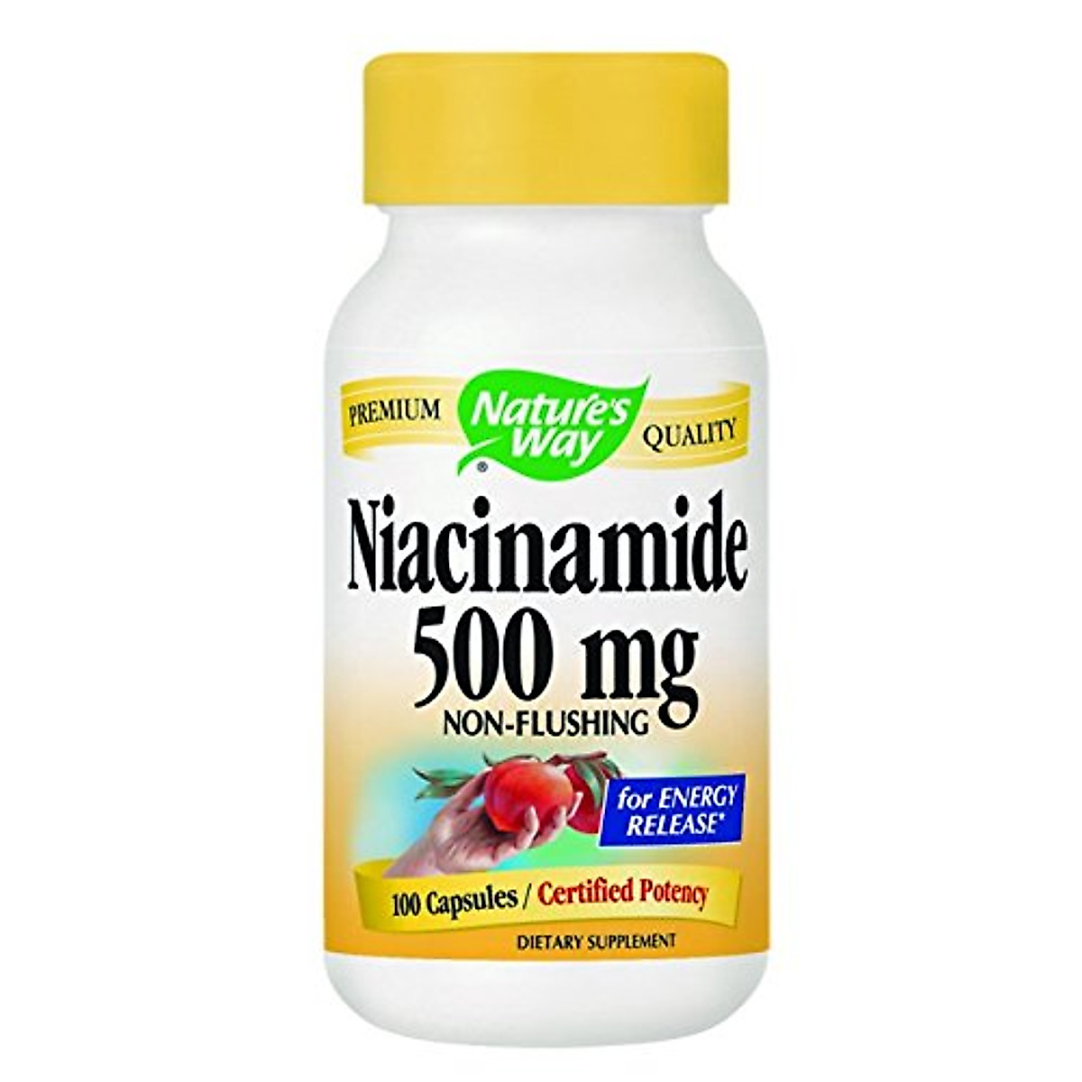 Nature's Way, Niacinamide, 500 mg, 100 Capsules
