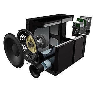 SVS PB-2000 Pro 12" Ported Subwoofer (Premium Black Ash)