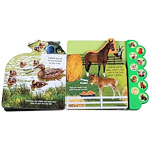 Discovery: Moo on the Farm! (10-Button Sound Books)