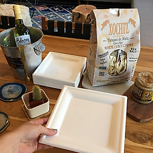 Susty Party 8-Inch Compostable Square Plates (50 Plates), Sugarcane Heavy Duty Disposable Biodegradable Plate, White