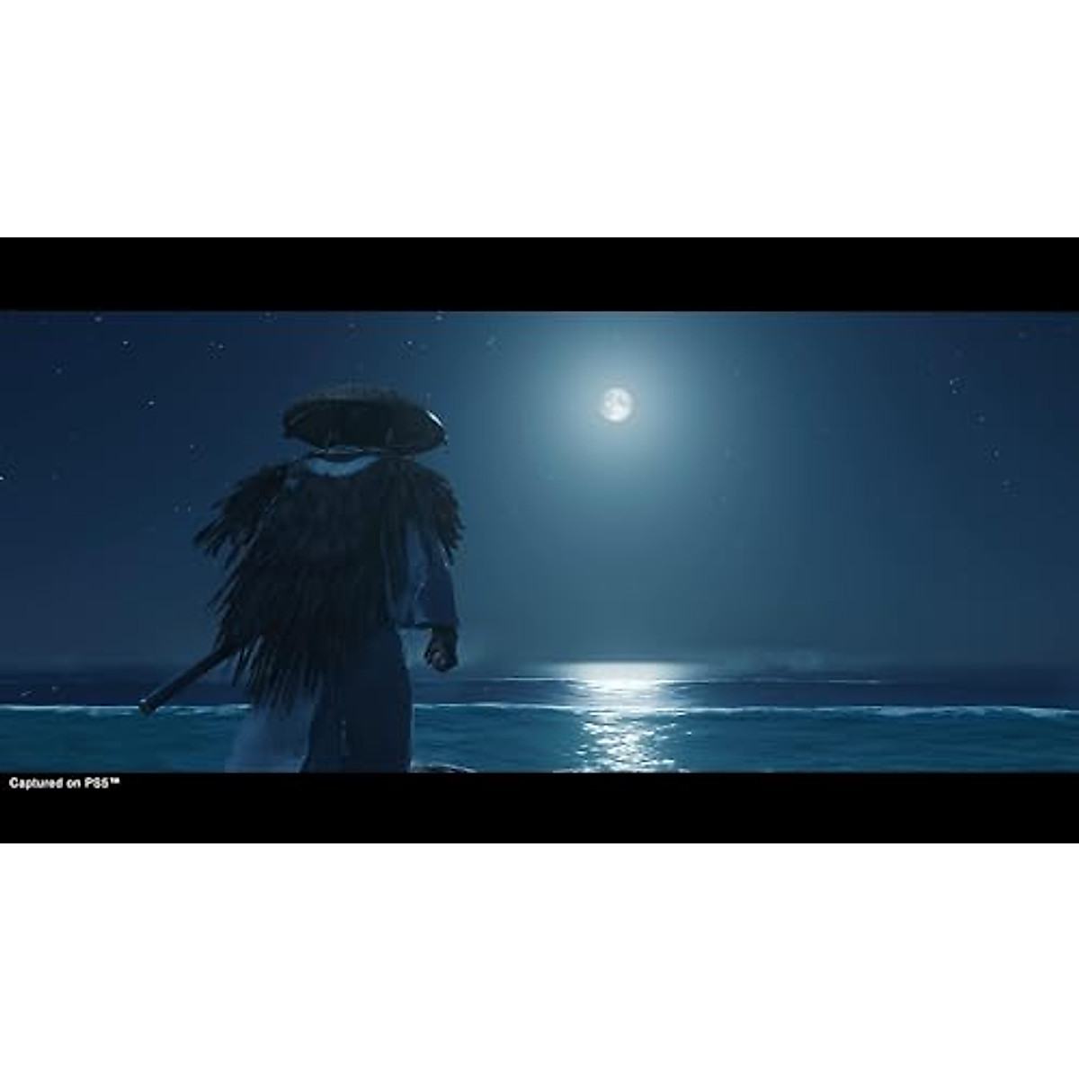 PlayStation, Ghost Of Tsushima Director's Cut (PS5)