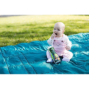 Sprout Organic Baby Food, Stage 2 Snacks, Carrot Mango and Apple Kale Plant Power Baby Puffs Variety Pack, 1.5 Oz Canister (6 Count)