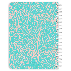 Seaside Currents | 2024 6 x 7.75 Inch 18 Months Weekly Desk Planner | Foil Stamped Cover | July 2023 - December 2024 | Plato | Planning Stationery