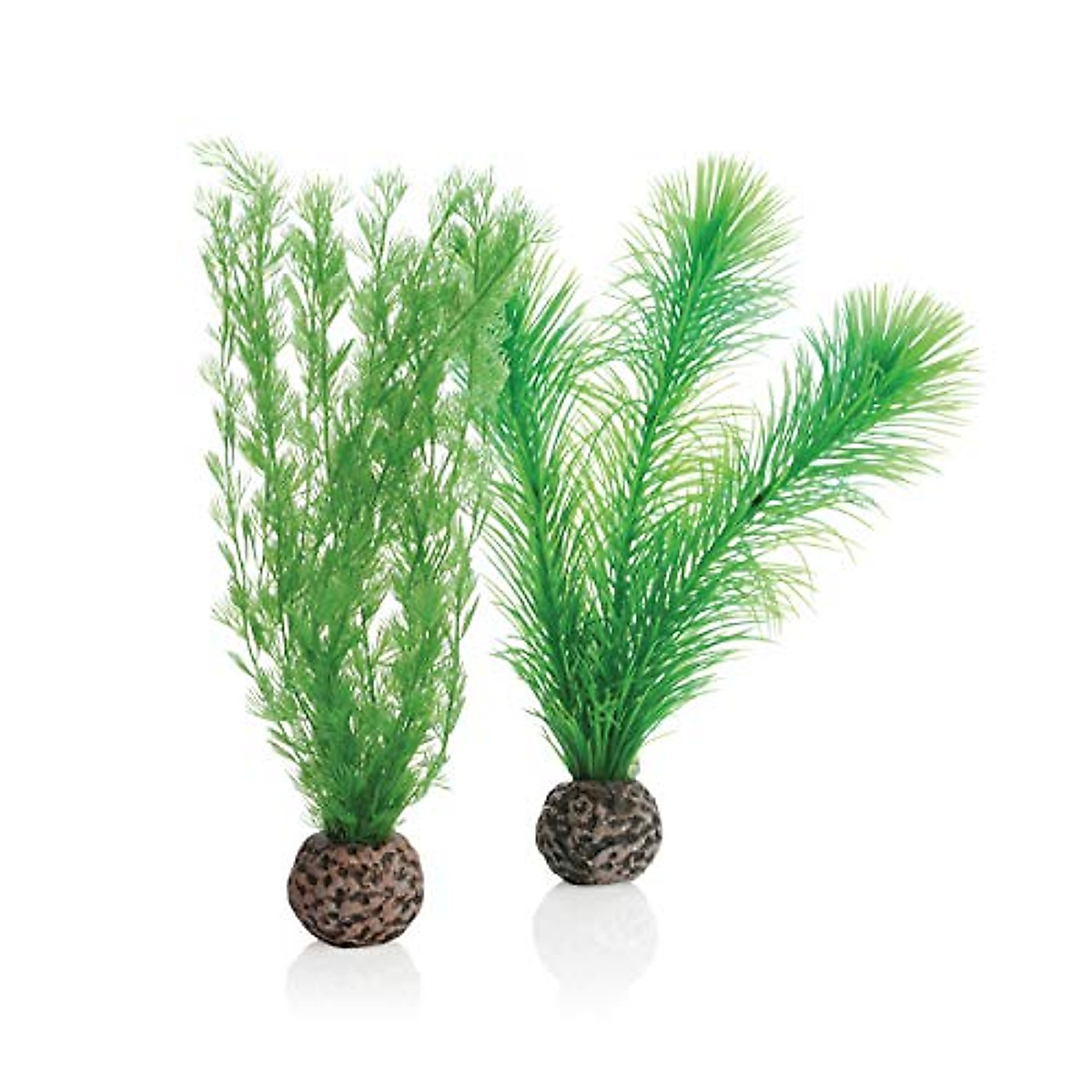 biOrb 46083.0 Feather Fern Set Small Green Aquariums