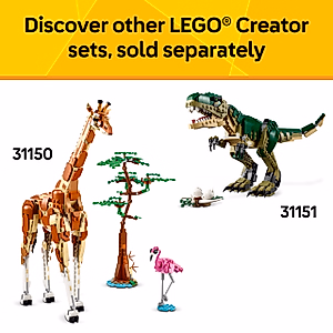 LEGO Creator 3 in 1 Medieval Dragon Toy - Building Toy with 3 Build Options, Dragon, Sea Serpent, or Phoenix - Fantasy Set for Kids, Boys and Girls, Ages 9+ - Gift Idea for Birthdays - 31161