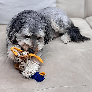 SPOT Skinneeez Plus Duck - Stuffing Free Dog Toy with Two Piece Rubber Body and Two Squeakers, Fun to Bite, Stuffingless Design is Great for Moderate Chewers, Tug Toy for Puppies & Dogs - 15in