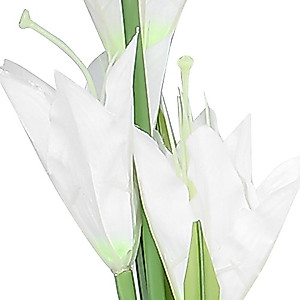2 solar LED 4 heads calla flower night light, suitable for home garden lawn decoration