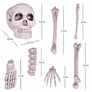 18Pcs Bag of Skeleton Bones and Skull for Halloween Decorations, Life Size Plastic Skeleton Bones,Spooky Skull Bones Props for Outside Inside Halloween Yard lawn Graveyard Party Haunted House Decor