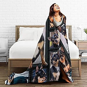 Cute Chihuahua Dog Black Lovely Puppy Printed Ultra-Soft Throw Blanket Home Decorative Blanket for Living Room Bed Sofa