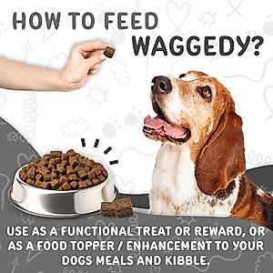 waggedy Daily Essentials Senior Tablets with Glucosamine — Pet Supplies for Digestion and Joint Health — Dog Multivitamin Treats for Overall Defense — Dog Vitamins and Supplements (60 Chewy Tablets)