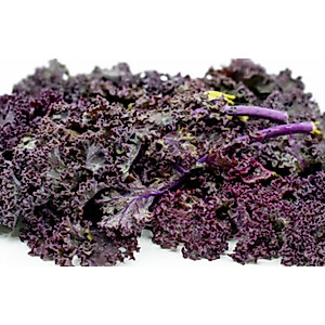 Kale - Red Volants Seed Pods (3) for HydroGarden