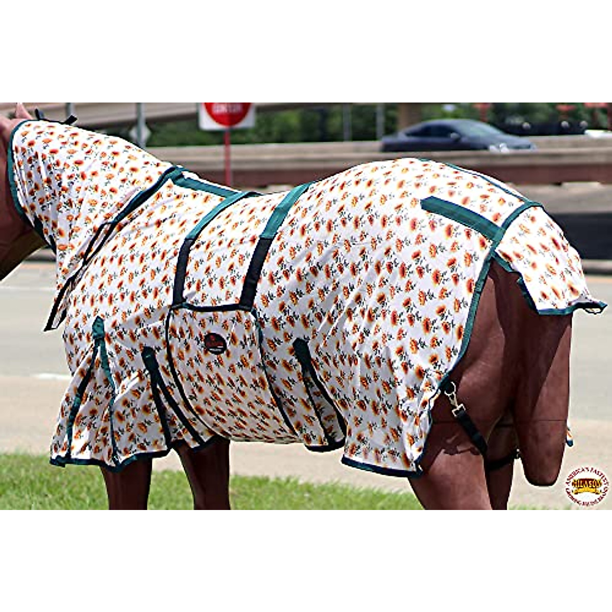 HILASON 78 Inches Horse Fly Sheet Ultra Violet Rays Protect Mesh Bug Mosquito Summer Spring | Fly Sheet | Horse Turnout Sheet | Fly Sheet for Horses | Bug and Mosquito Protection | Fly Sheet for Horse
