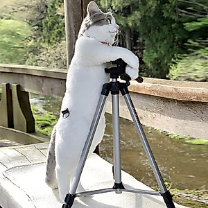 MUGUOY Handmade Simulation Cat Bag This Cat Backpack Look Like A Real Cat,3D Simulation Stuffed Animal Zipper Backpack.