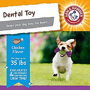 Arm & Hammer Nubbies Dental Toys DuoBone Dental Chew Toy for Dogs Best Dog Chew Toy for The Moderate Chewers Reduces Plaque & Tartar Buildup Without Brushing, Chicken Flavor (Pack of 24)