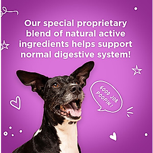 First Impressions No Scoots, Good Poops for Dogs - Tasty Soft Chews for Healthy Anal Gland and Digestion, High in Fiber for Dogs - with Beet Pulp, Psyllium Husk, and Pumpkin - 60 ct