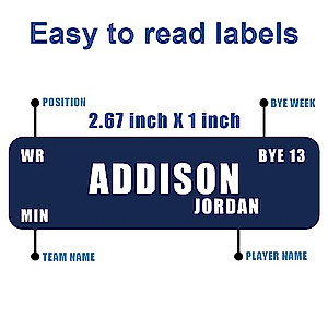 Catzvpu 2023 Fantasy Football Draft Board - Fantasy Football Draft Board for The 2023-2024 Season Kit,12 Teams 20 Rounds & 450 Label Stickers