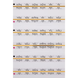 Majestic Traditional Gold-Edged Bible Tabs