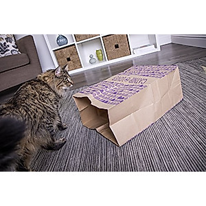 SmartyKat (2 Count Catnip Caves Catnip Infused Bag Cat Toys - Brown, 2 Count