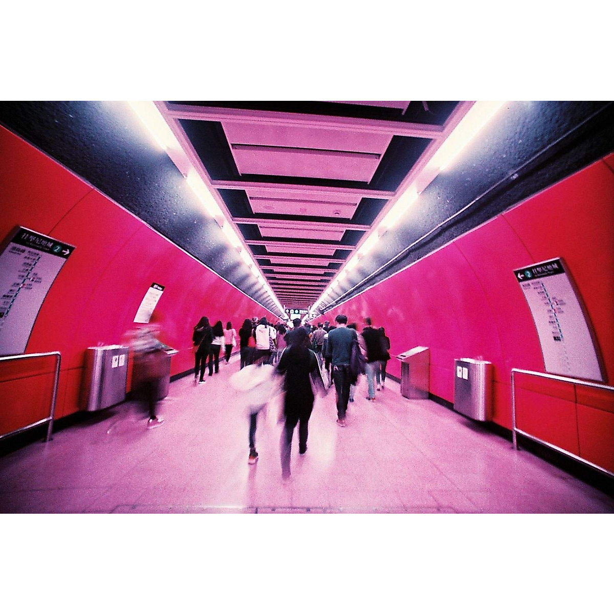 Lomochrome Purple 35 mm ISO 100-400
