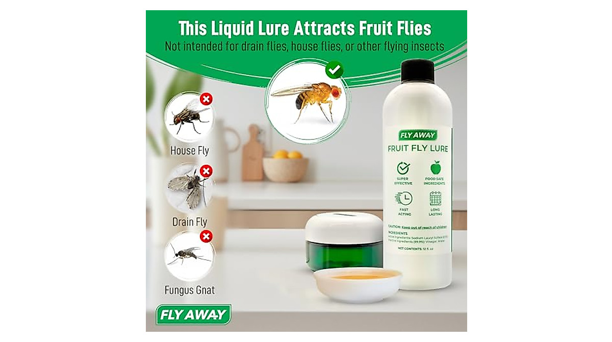 Fly Away Fruit Fly Trap Kit: Fast, Stylish, 90+ Day Control