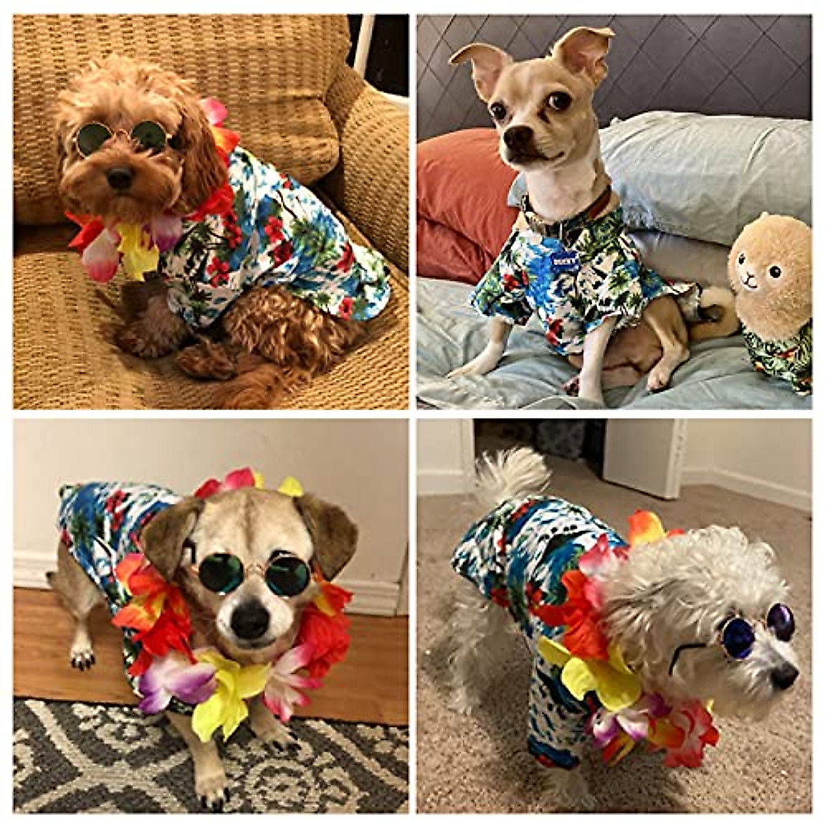 3 Pieces Pet Dog Hawaiian Costume, Includes Puppy Dog's Cool T-Shirts Summer Clothes, Funny Cute Dog Retro Fashion Sunglasses and a Colorful Wreath for Small to Medium Dog (Green Series)