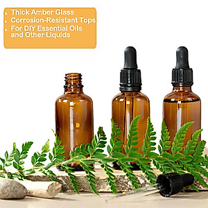 LANBEAUTIFY 2 oz Glass Dropper Bottles - 6 Pack Eye Dropper Bottles with Funnels & Labels - 60ml Amber Glass Tincture Bottles for Essential Oils, Liquids (2OZ-2PCS)