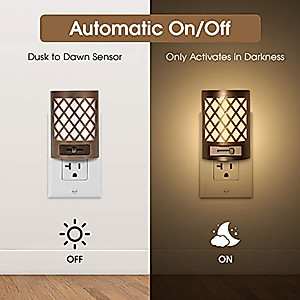 DORESshop Farmhouse Night Light Plug in, Dimmable LED Dusk to Dawn Sensor Night Light, Adjustable Brightness 110V, Soft White 3000K for Bedroom, Hallway, Nursery